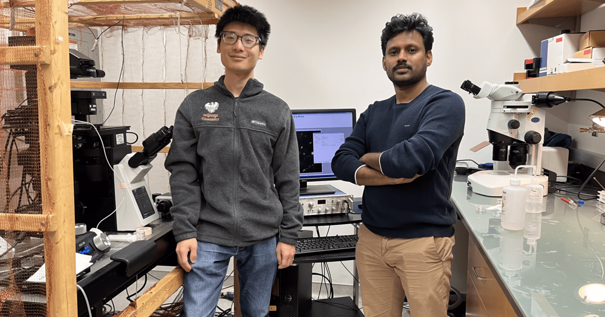 “We Feel Like Explorers”: Krishnan Lab shares new findings in organelle ...