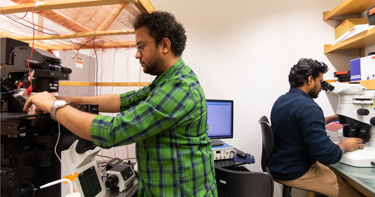 University of Chicago chemists discover a key protein in how lysosomes work | PhD Program in ...