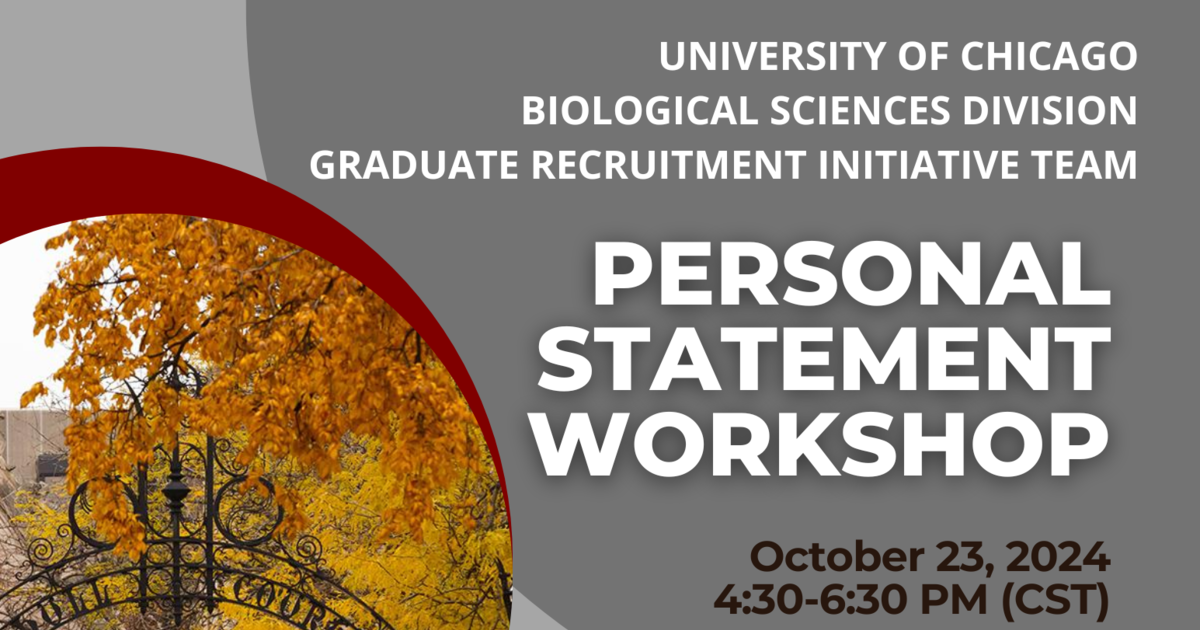 Personal Statement Workshop for PhD applicants | PhD Program in ...